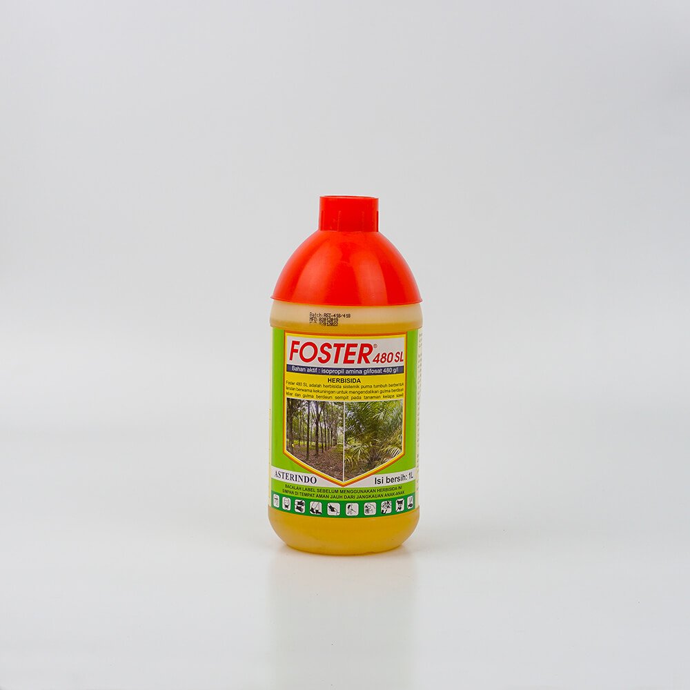 Foster 480 SL - Asterindo