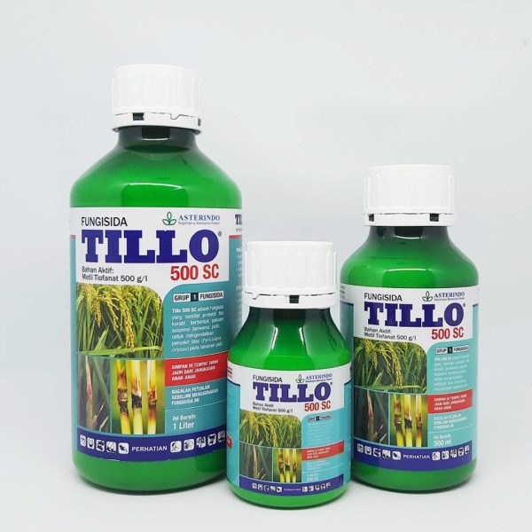 Tillo 500 SC - Asterindo