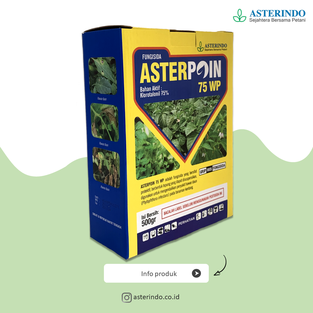Fungisida Archives - Asterindo
